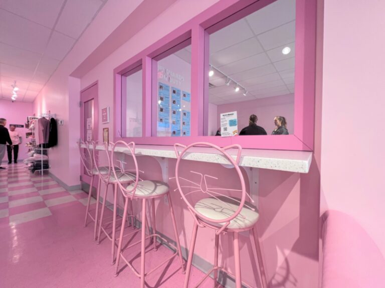 A Cat Cafe In Columbus, Ohio [Kitty Bubble Cafe & Bar] – Katie Goes There